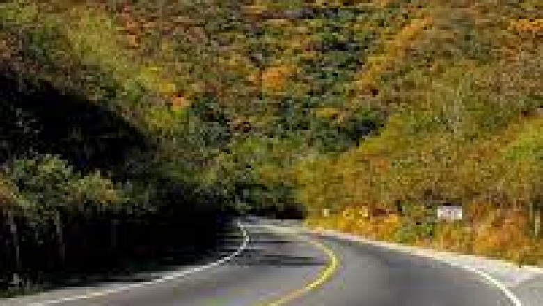 Leyenda de la ruta 14 🛤️🚛 | Maro Magazine