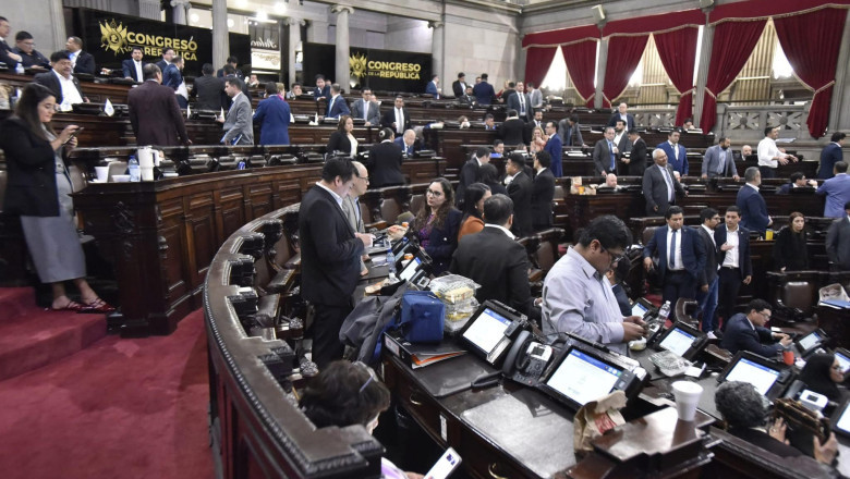 Reforma legal beneficiará a Movimiento Semilla | Maro Magazine